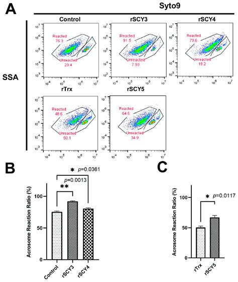 Flow Cytometry Analysis Of The Sperm AR A And The Quantification Of Download Scientific