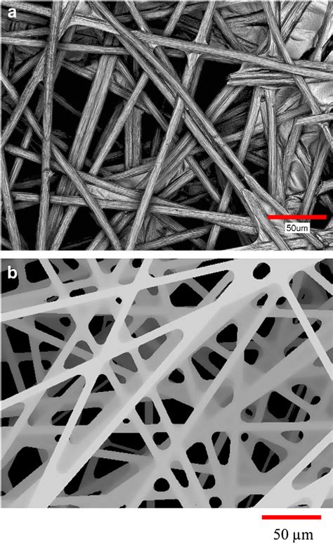 Figure 1 From 3d Phase Differentiated Gdl Microstructure Generation With Binder And Ptfe