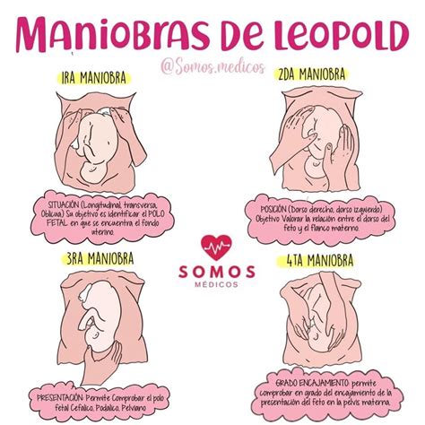 Maniobras De Leopold Y Medición De Fondo Uterino Aeuwnj