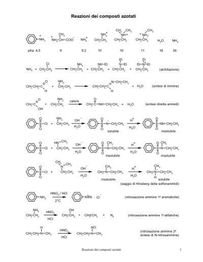 Ammine Pdf PianetaChimica It