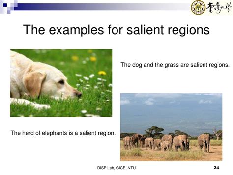 ppt color image segmentation powerpoint presentation free download