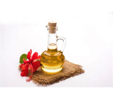 Hibiscus Oil For Nutrafood Application 100 At ₹ 450litre In Indore