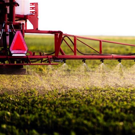 Clúster Agroindustrial de Chihuahua DESEC