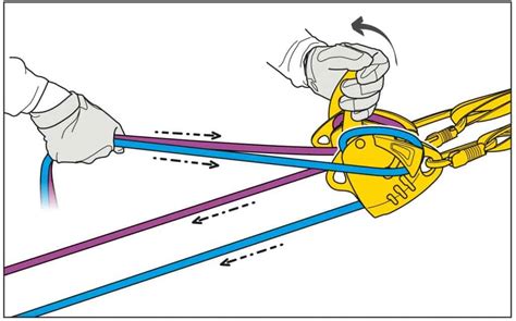 8 Defined Rescue Rigging Systems Every Team Needs Rigging Lab Academy
