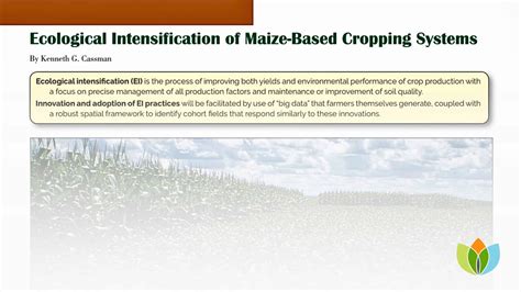 Ecological Intensification Of Maize Based Cropping Systems