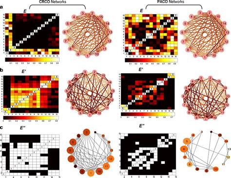 Cross Correlation Crco And Partial Cross Correlation Paco Download Scientific Diagram