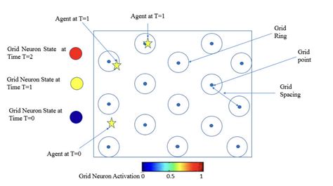A Novel Grid And Place Neurons Computational Modeling To Learn Spatial Semantics Of An Environment