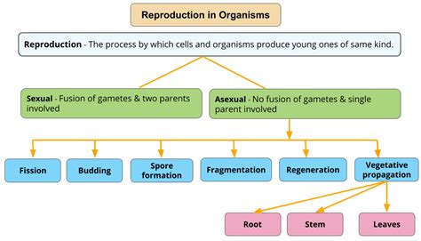 Mind Map Lesson Science CBSE Class 8