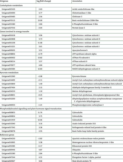 degs with significant go annotations download scientific diagram