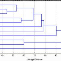 Upgma Cluster Analysis Download Scientific Diagram