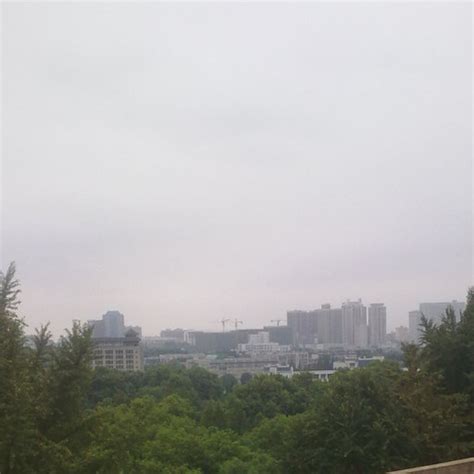 Yong Zhang Wuhan University Of Technology Wuhan Whut School Of