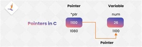Types of Pointers in C with Examples and Syntax