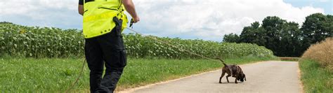 Avcd Association Vaudoise Des Communes Délégatrices