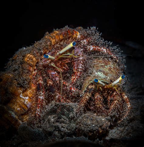 👫🏼 Couples Behance