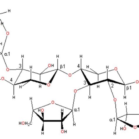 Figure E Xylan Structure Shows Diierent Intermolecular Bonds Adopted Download Scientific