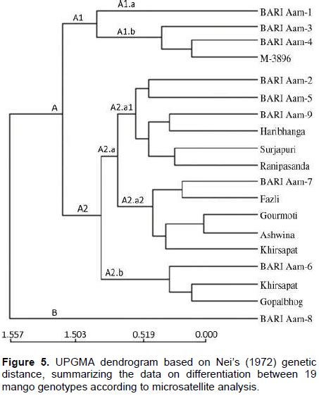 Journal Of Horticulture And Forestry Morphological Characterization And Simple Sequence