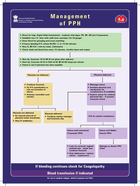Management Of Pph Pdf Maternal Health Womens Health