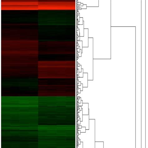 microarray analysis the figure shows a heat map analysis of degs oa