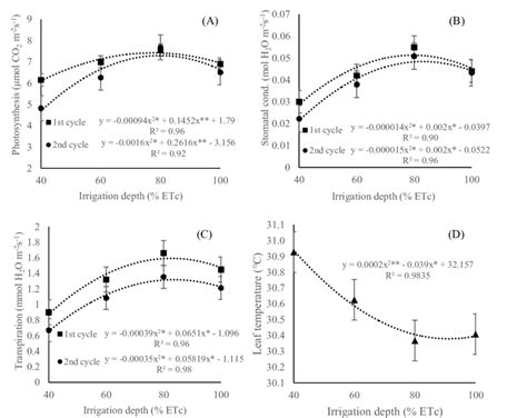 Photosynthesis A Stomatal Conductance B Transpiration C And Download Scientific Diagram