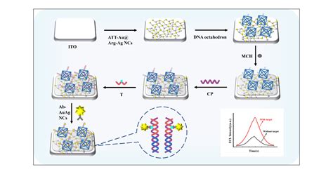 Electrochemiluminescence Sensor Based On Dna Octahedron And