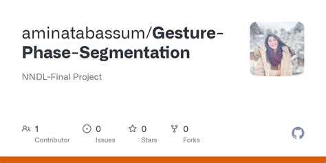 Github Aminatabassumgesture Phase Segmentation Nndl Final Project