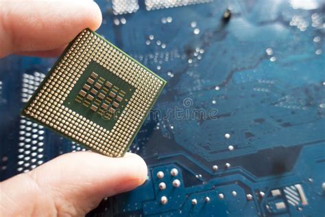 Woman With The Motherboard Stock Photo Image Of Access 37112344