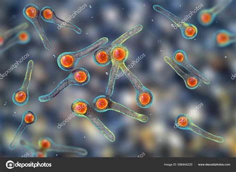 Clostridium Tetani Bacteria Causative Agent Tetanus Illustration
