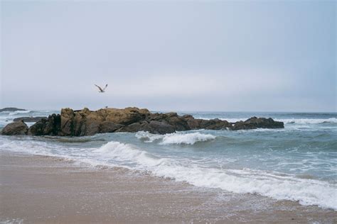 Hike Franklin Point Costanoa