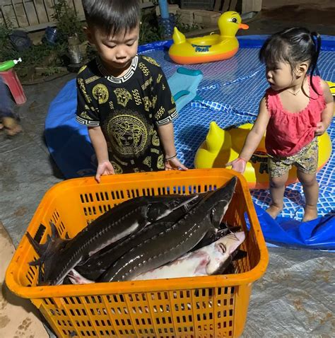 Money ອາຫານສົດທຸກຊະນິດ Vientiane