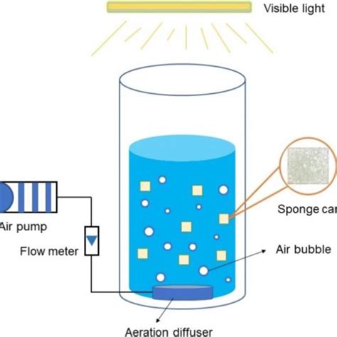 Schematic Diagram Of Experimental Reactor Download Scientific Diagram