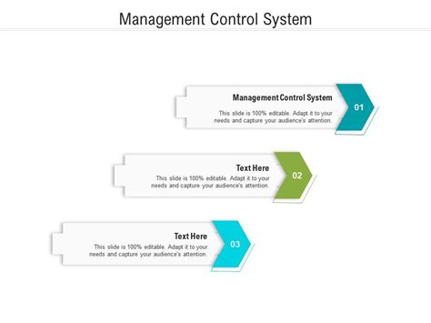 Management Control System Ppt Powerpoint Presentation Layouts Example Cpb Presentation