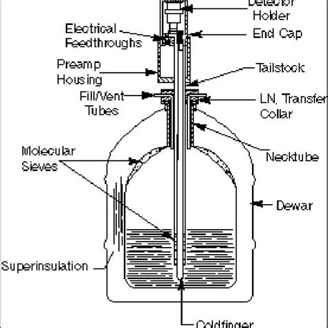 Cross Sectional View Of A Ge Semiconductor Detector Canberra A