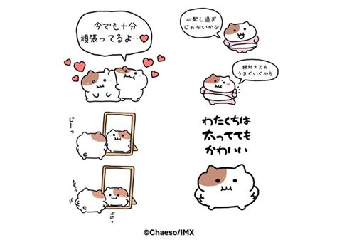 Mz世代が共感するコンテンツ発信で話題の韓国人気キャラクター「もちにゃみ」がついに日本進出へ 株式会社インタラクティブメディアミックスの
