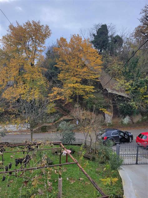 ცვარა | Georgian Travel Guide