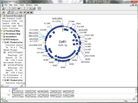 Vector Nti Viewer Download