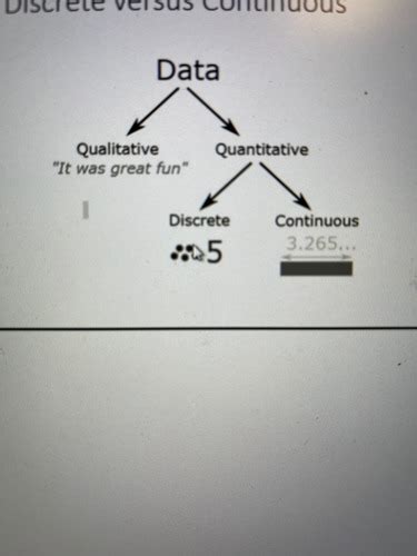 Types Of Data Flashcards Quizlet
