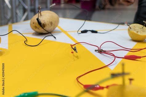 Foto Stock Potato Battery Stem Activity With Potatoes Lemons