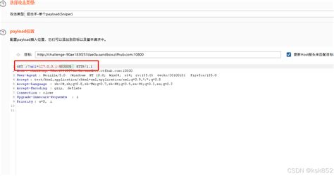 Ctf Hub Ssrf通关攻略ctf Hub Csdn博客