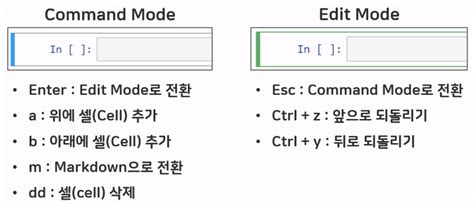 Python 기초 이스케이프 코드