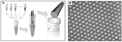 Figure 21 From Parallel Independent Component Analysis With Reference