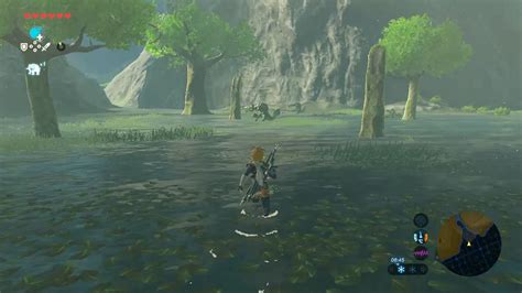 A Professional Assassin At Work Rbreathofthewild