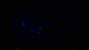 The Texas Chain Saw Massacre 1974 Night Chase Sally And Leatherface Wizard Video VHS 1982