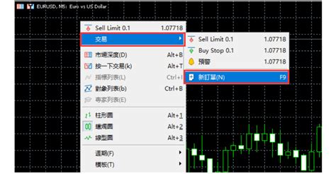 Mt5（windows版）的订单界面显示方法与下单方法（市价单与挂单） Titan外汇投资交易研究所