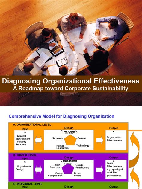 Diagnosing Organizational Effectiveness Pdf Cognition Organizational Behavior