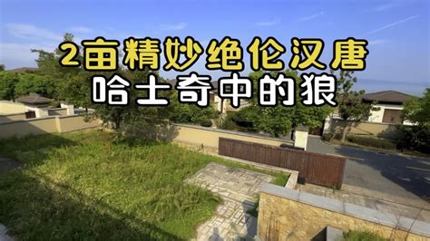 精妙绝伦，哈士奇中的狼！苏州2亩居山望湖汉唐别墅，一线临湖 Youtube