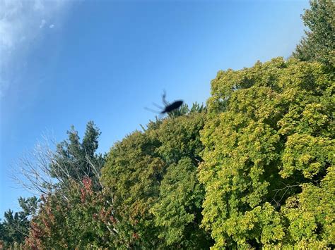 About Claire Murrell Medium