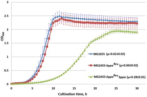Growth Of Strains With The Hppa Rru Gene In The Presence And Absence Of Download Scientific