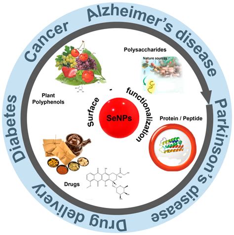 The Developments Of Surface Functionalized Selenium Nanoparticles And