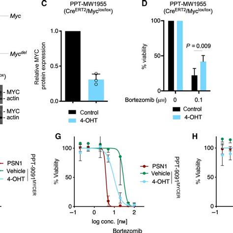 Validation Of The Drug Screening Experiment A Quantification Of Myc Download Scientific
