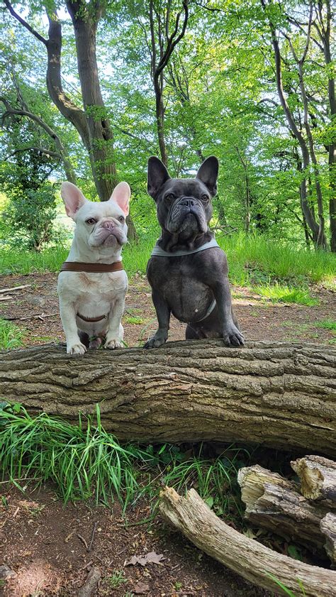 Das Futterhaus Das Futterhaus Carl Zeiss Straße 18